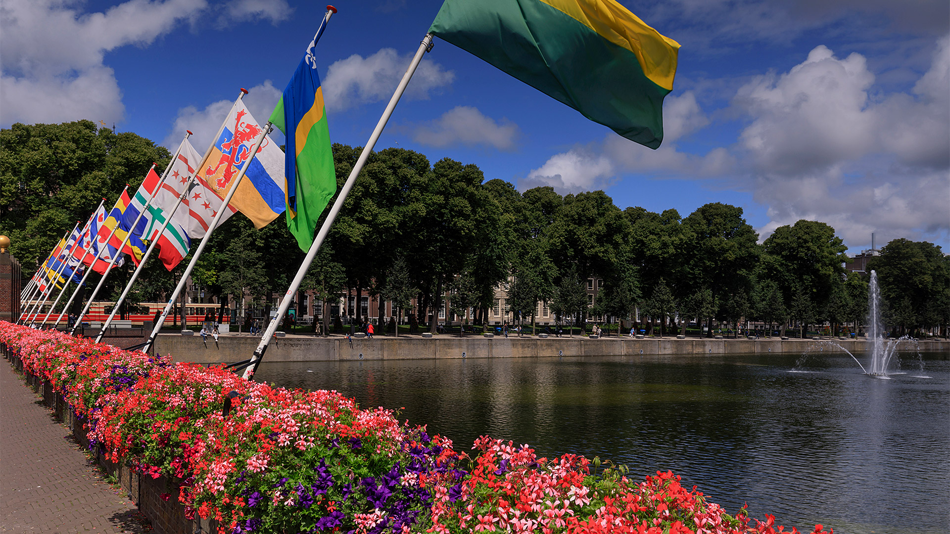 Want to be a Partner? - The Local Expat